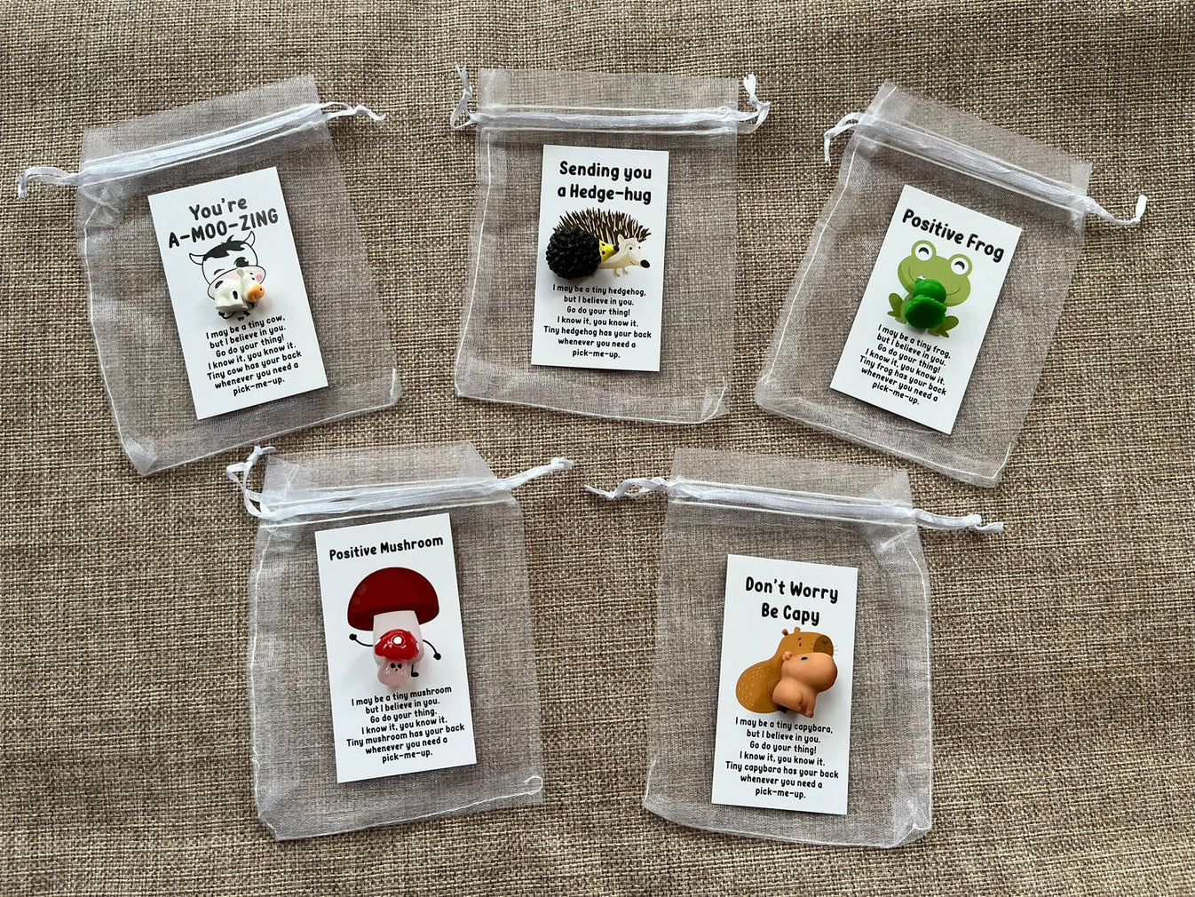 Set of 5 motivational resin tokens – Random Panda